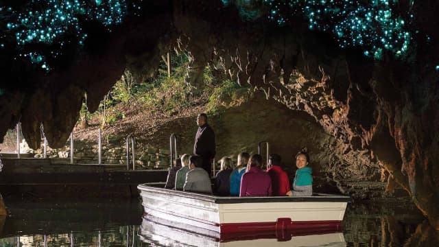 Waitomo Caves & Rotorua Tour Including Te Puia